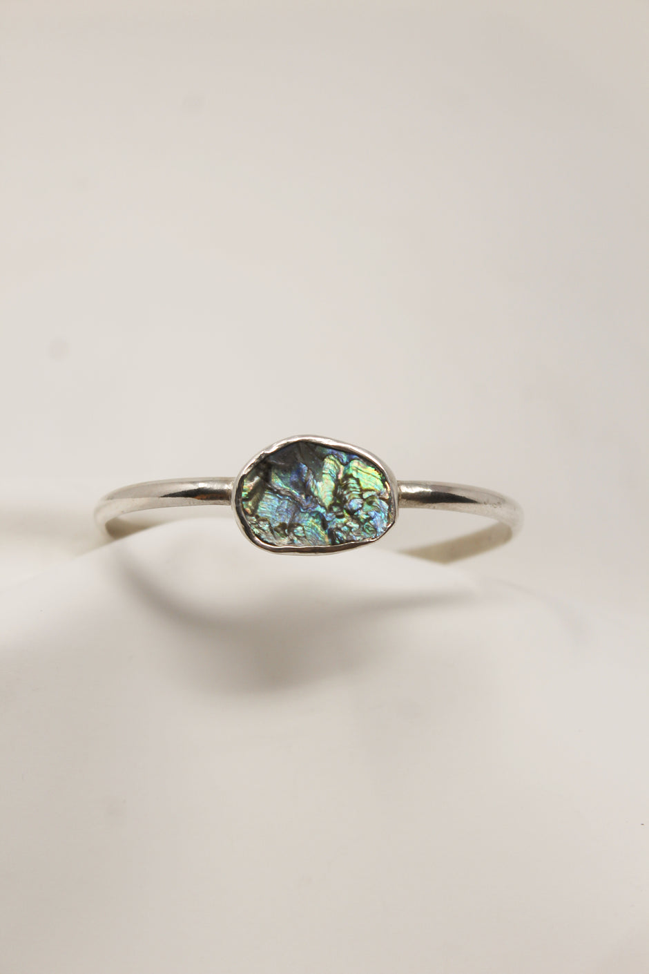 Abalone Collection Vol. 10 – Intertidal Jewelry